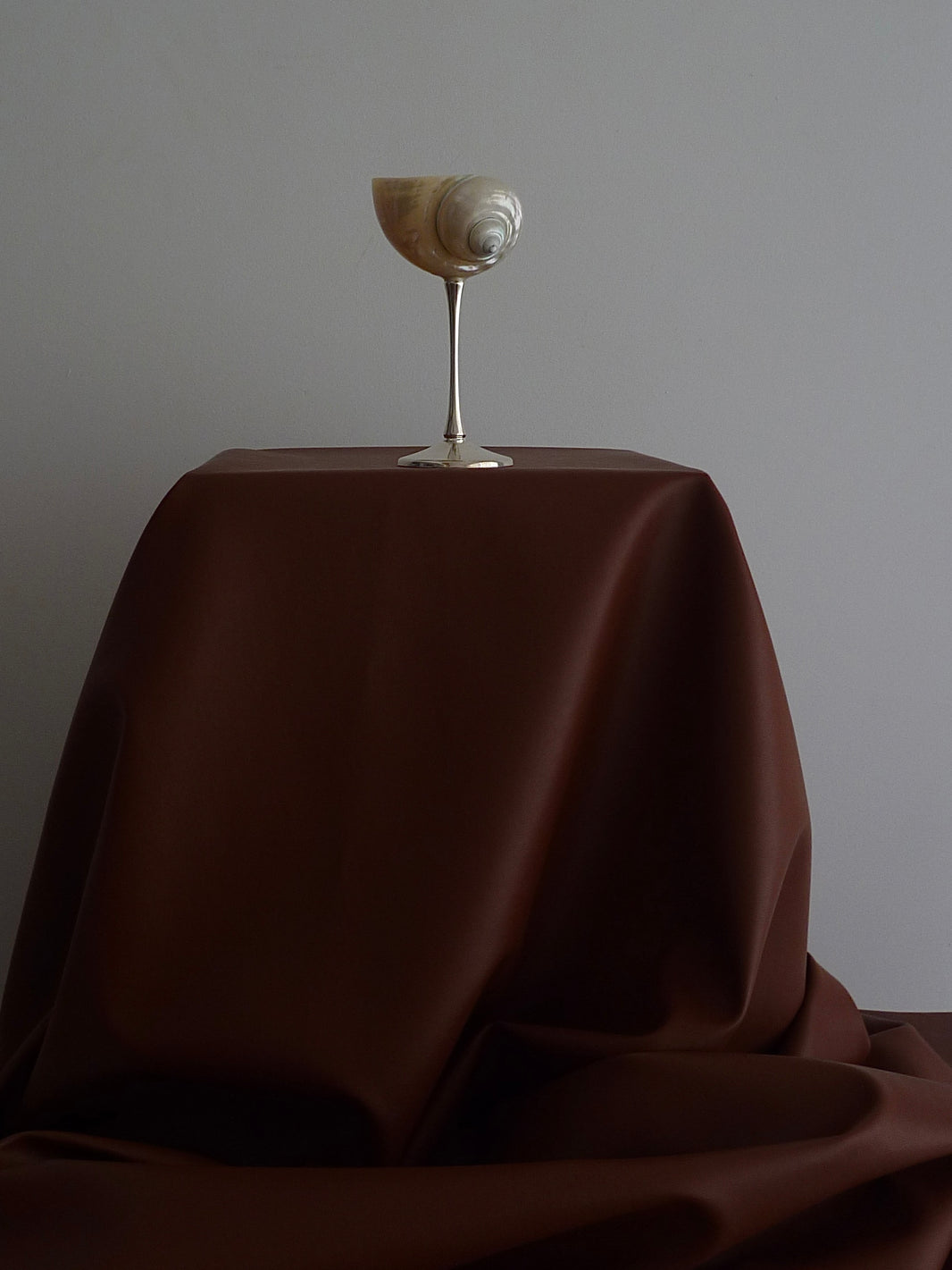 Shells collection – CENTÁ